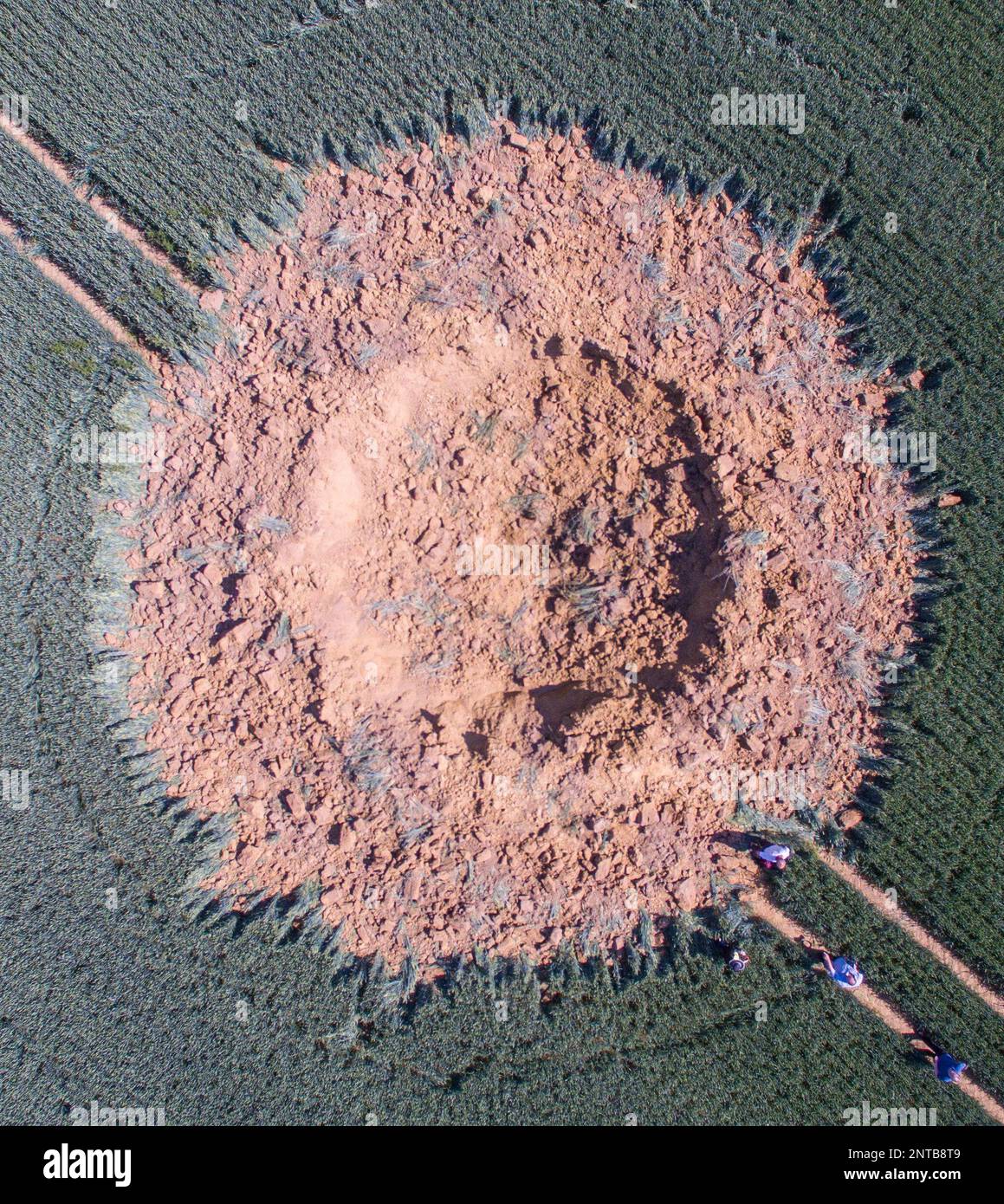 A big crater is pictured on a corn field after a bomb from the World ...