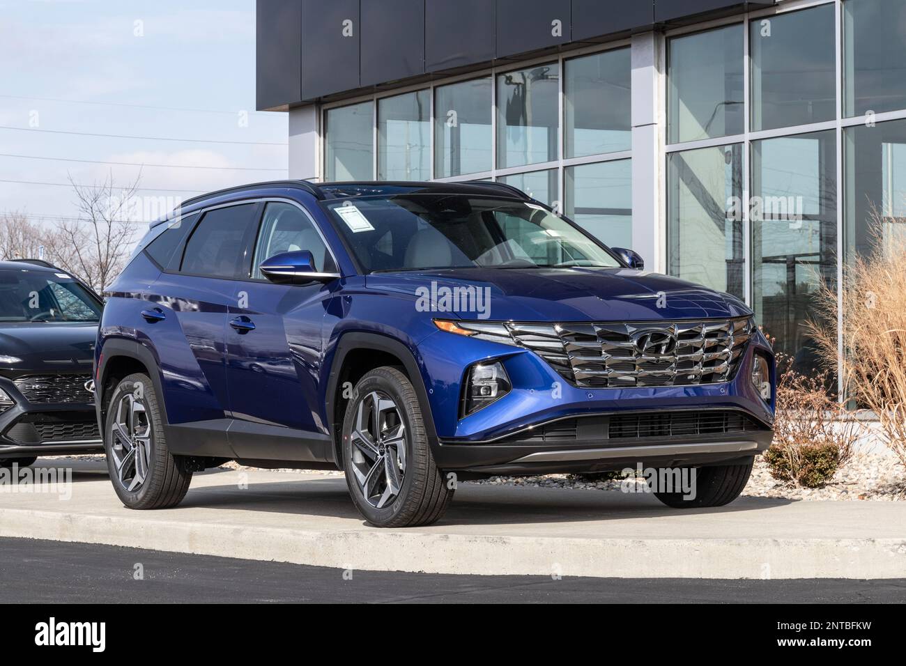 Noblesville - Circa February 2023: Hyundai Tucson display at a ...