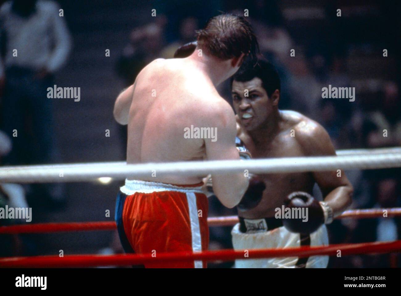 World heavyweight champion Muhammad Ali, faces Chuck Wepner during ...