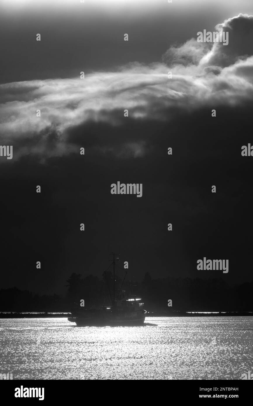 Fraser River Seiner Crossing Sunburst. A seine boat travels out of the ...