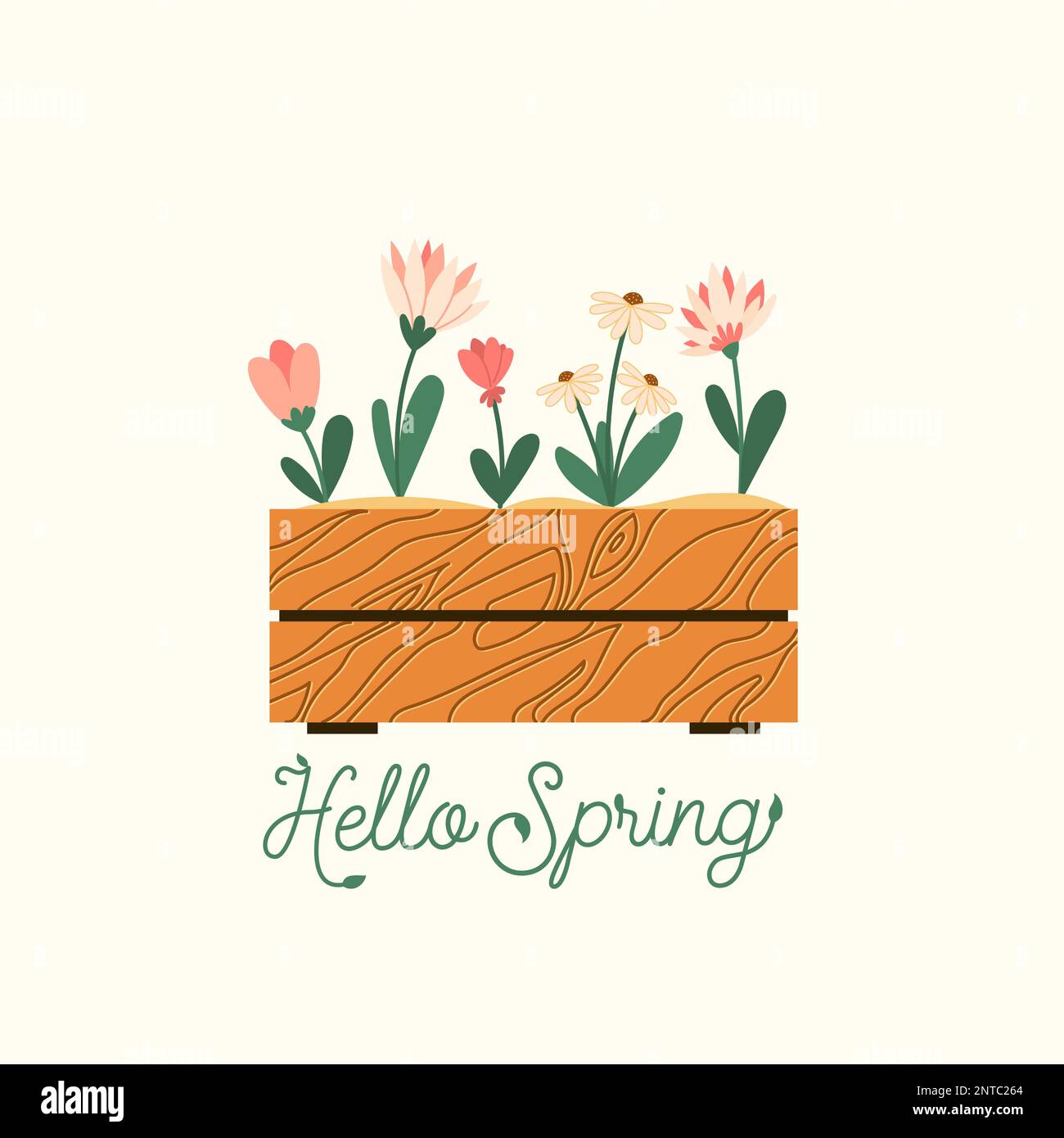 Spring home gardening illustration. Vector colorful flowers in wooden ...