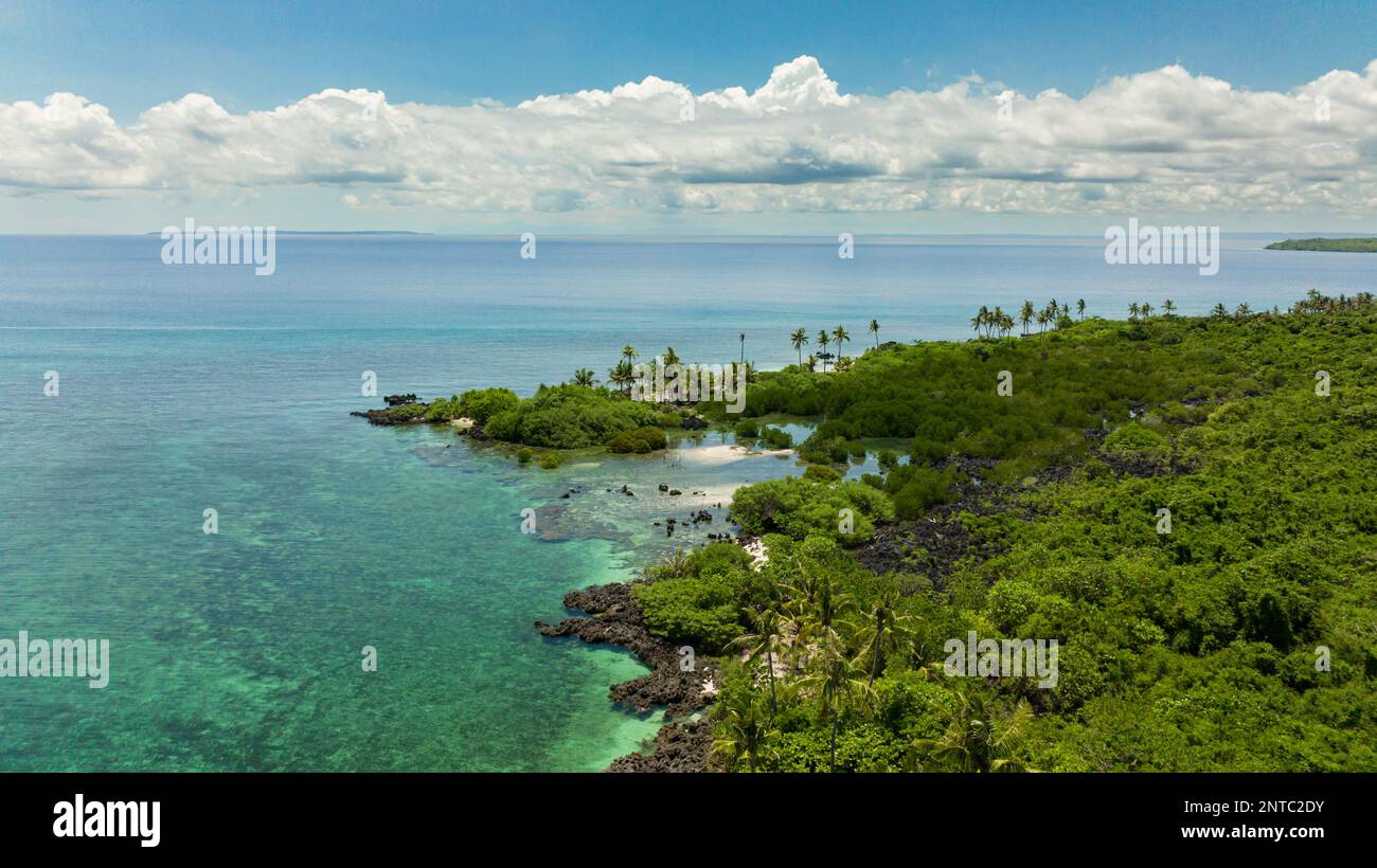 Tropical island shore with rainforest and jungle. Virgin Island ...