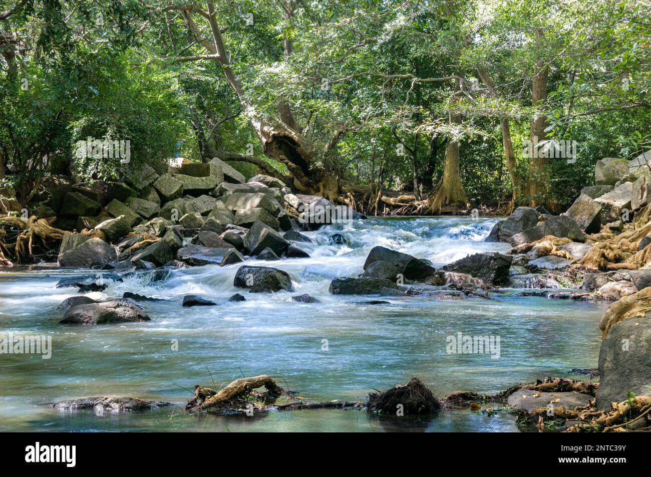 beautiful landscape photograph, small waterfall in the forest ...