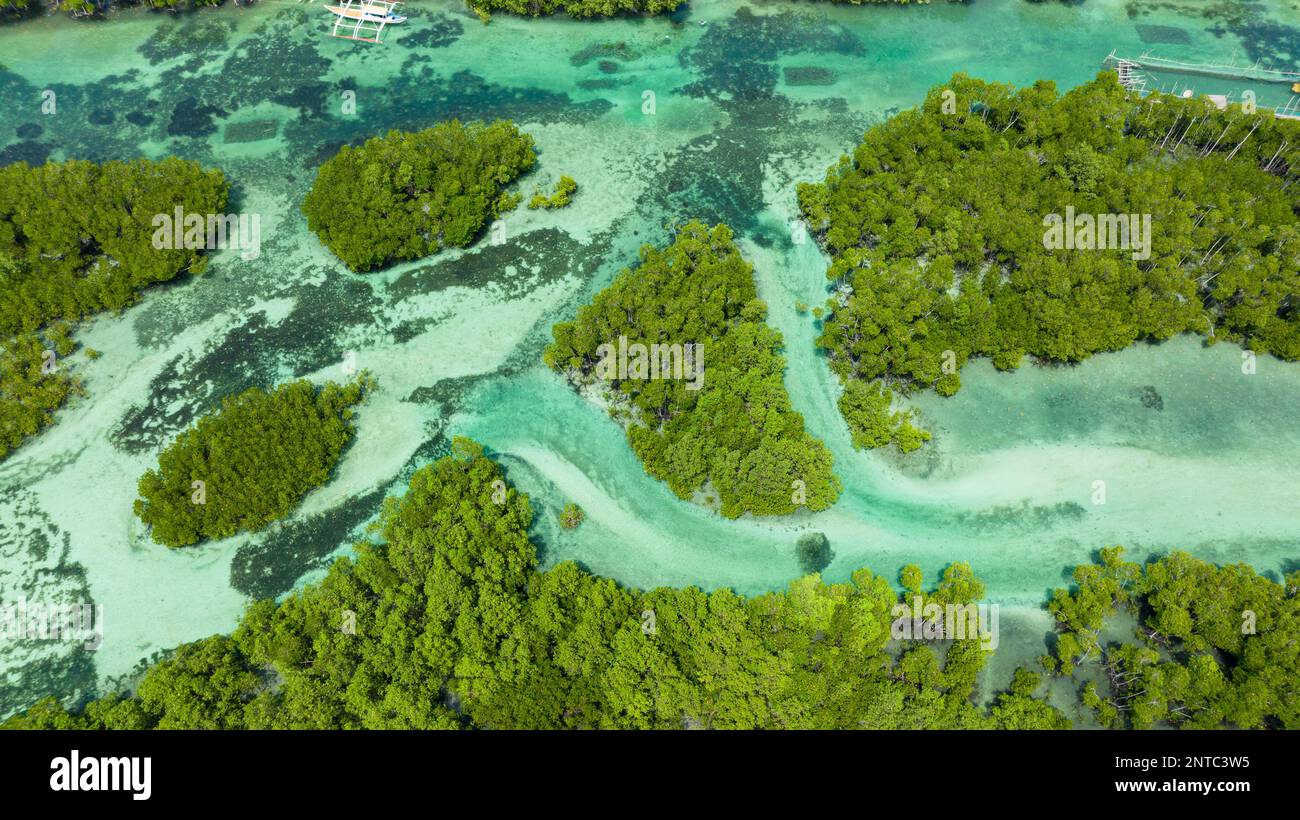 Islands in a beautiful lagoon. Tropical landscape. Bantayan island ...