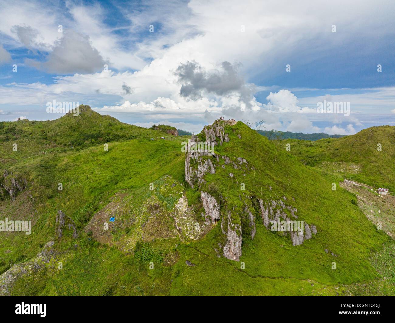 Aerial view of tropical plants and trees covers mountains and ravine ...