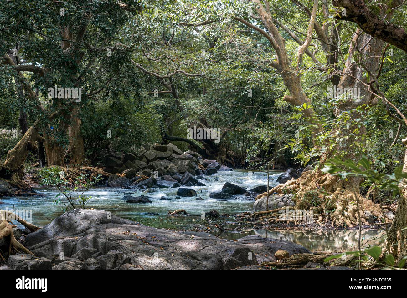 Focus stracking hi-res stock photography and images - Alamy