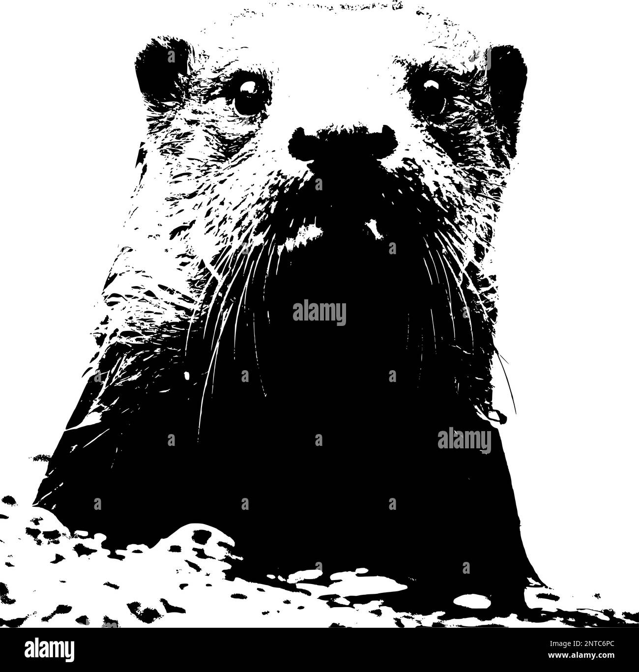 Vector illustration of Common Otter (Lutra lutra Stock Vector Image ...