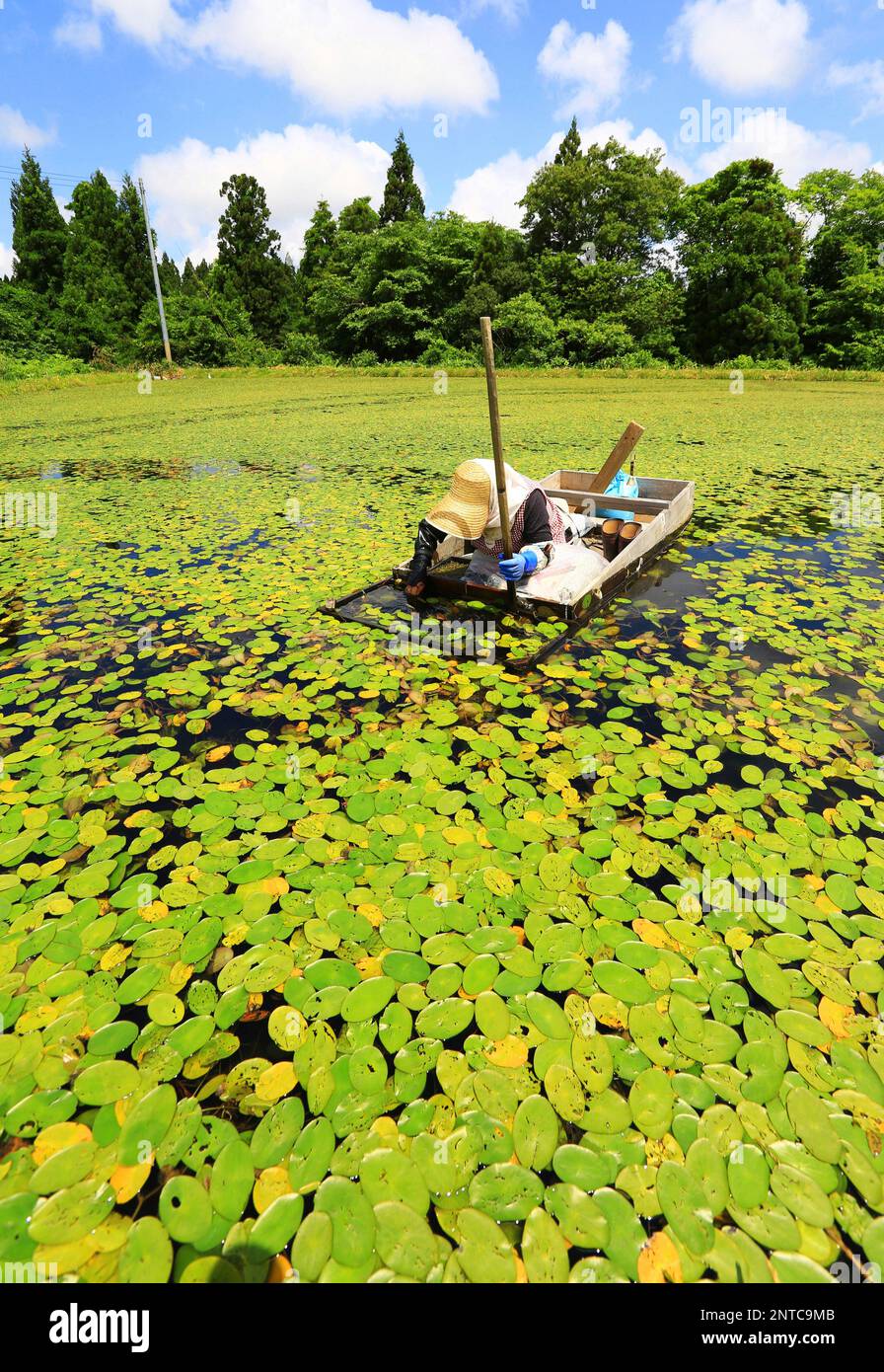 Japan well water house hi-res stock photography and images - Alamy