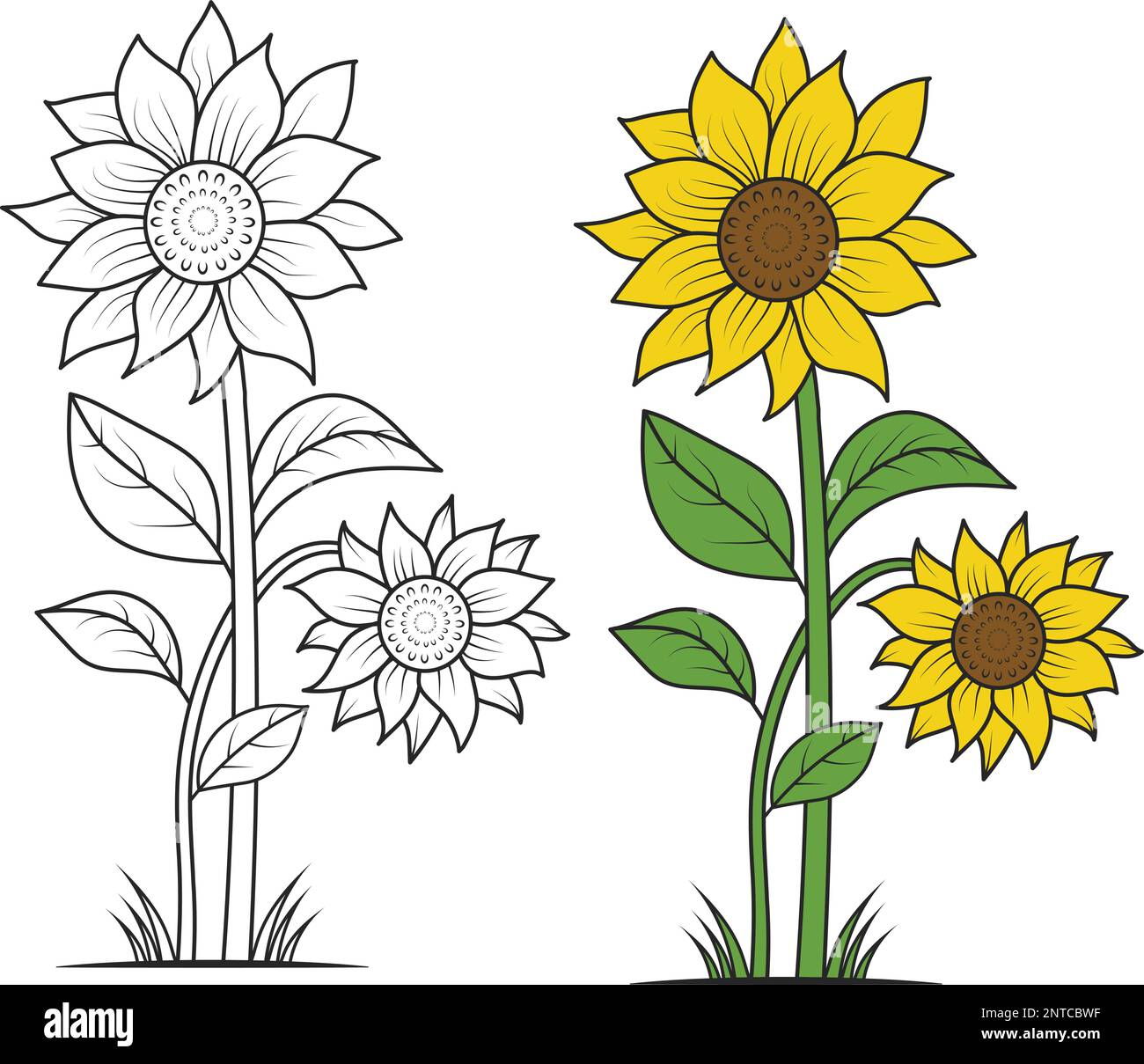 Sunflower Clipart | Sunflower SVG | Sunflower SVG Cut File | Sunflower ...