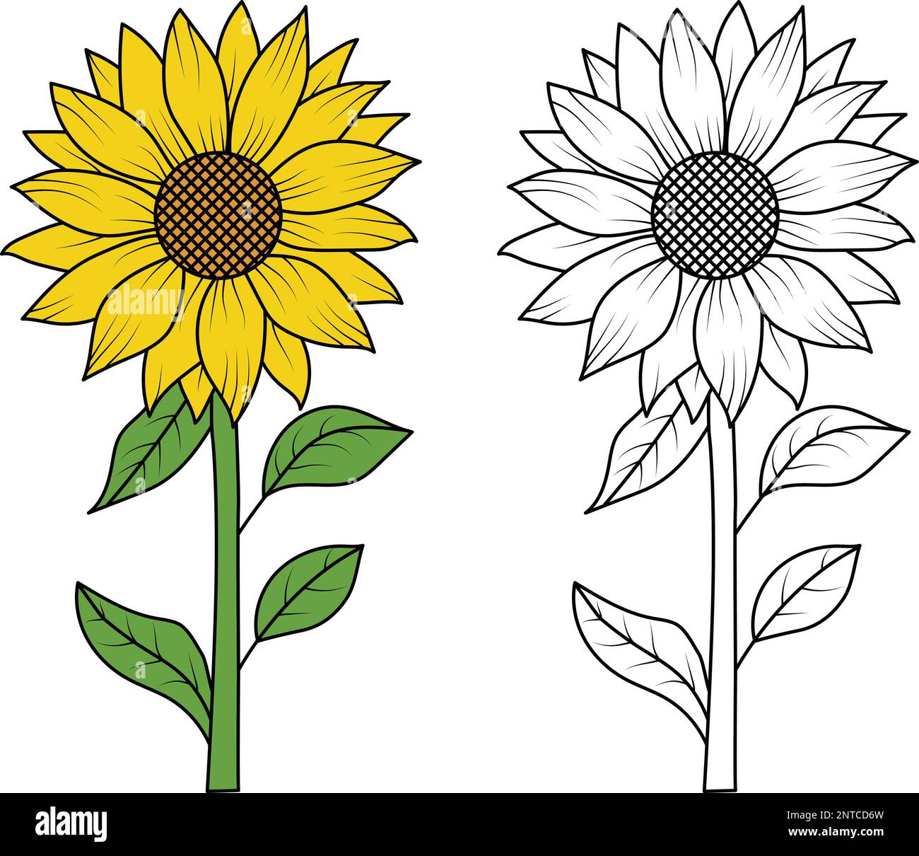 Sunflower Clipart | Sunflower SVG | Sunflower SVG Cut File | Sunflower ...