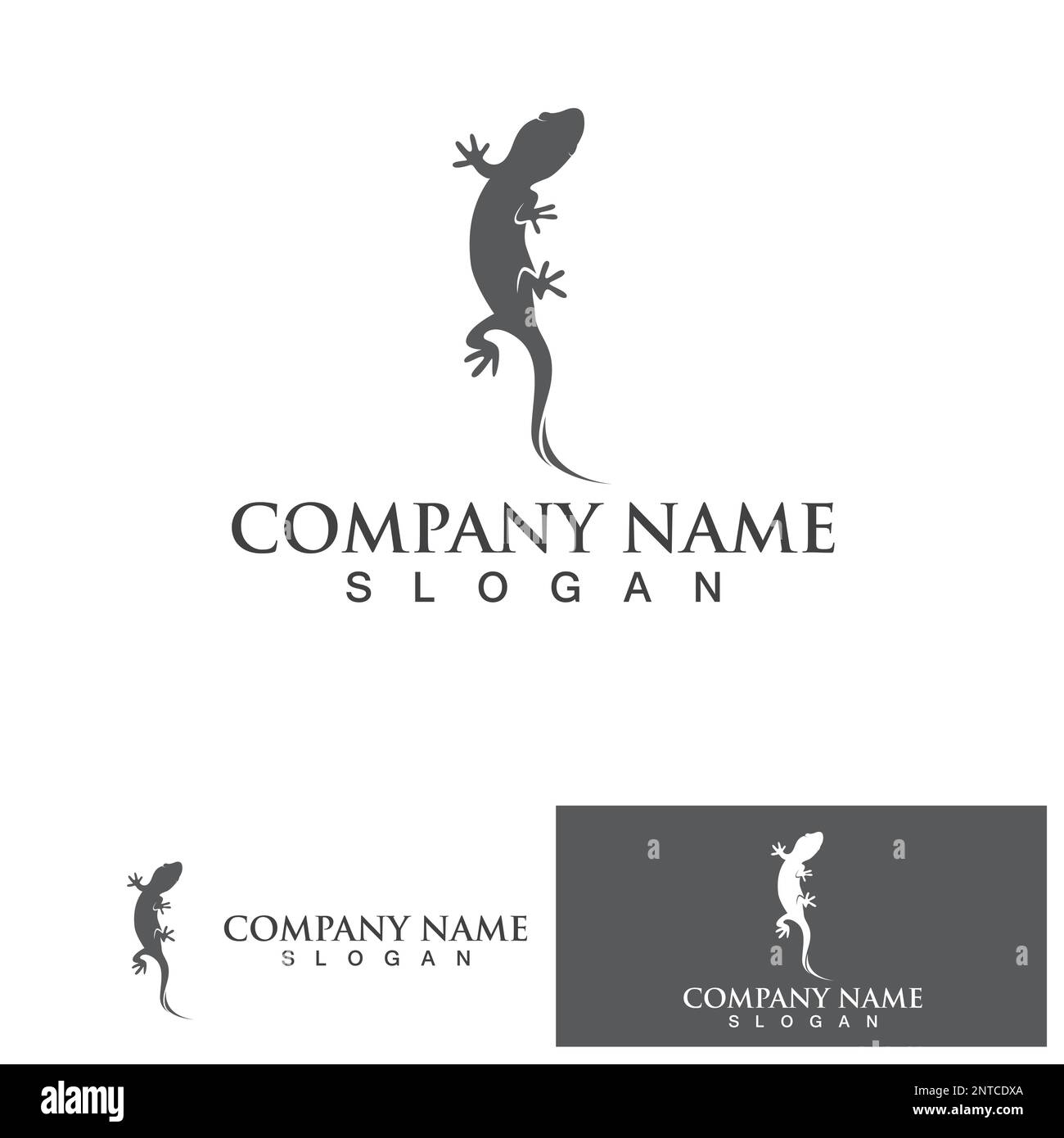 House lizard vector print template Stock Vector Image & Art - Alamy