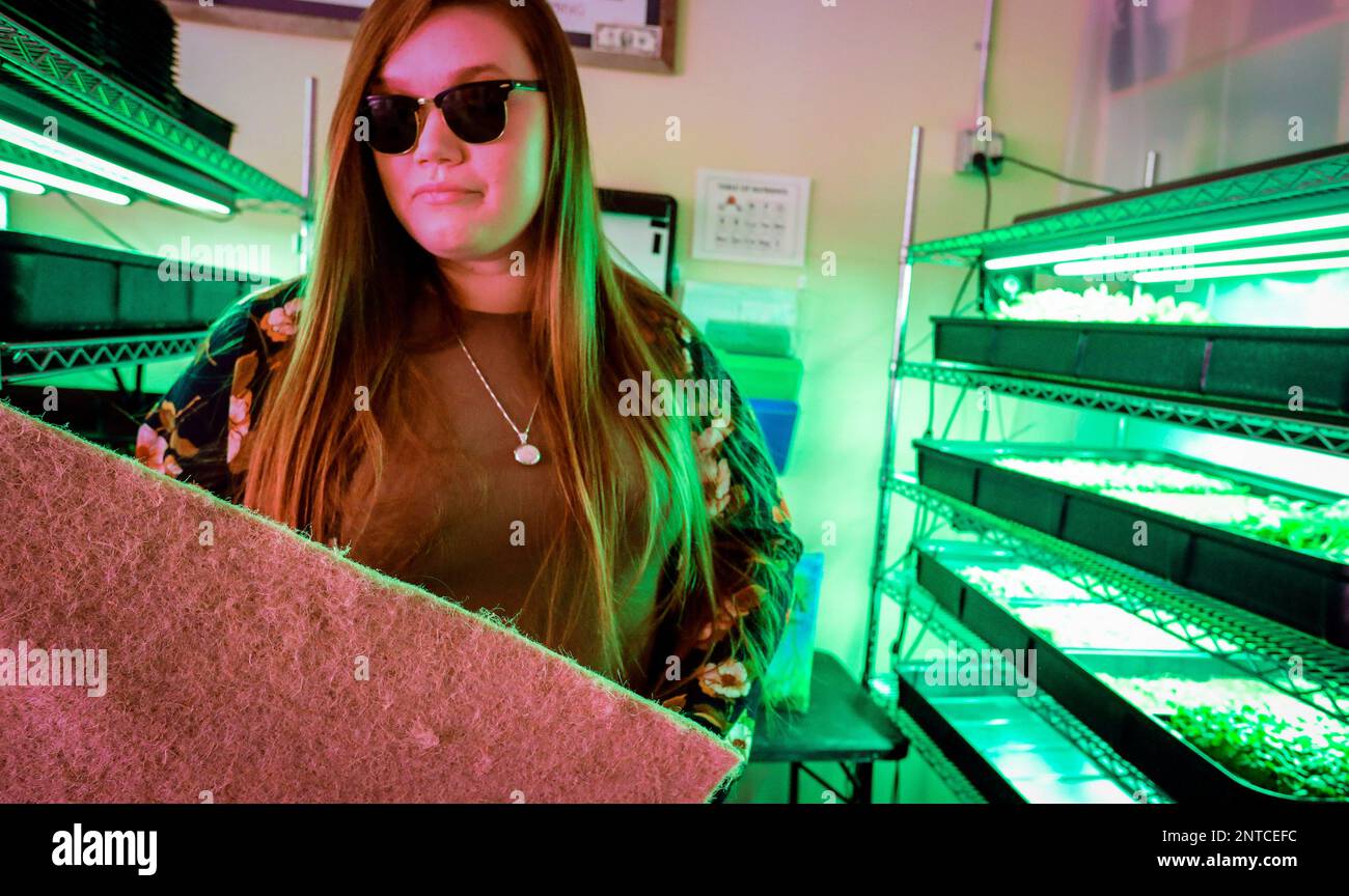 Erica Proefrock of Column Greens talks about hydroponic farming in a ...