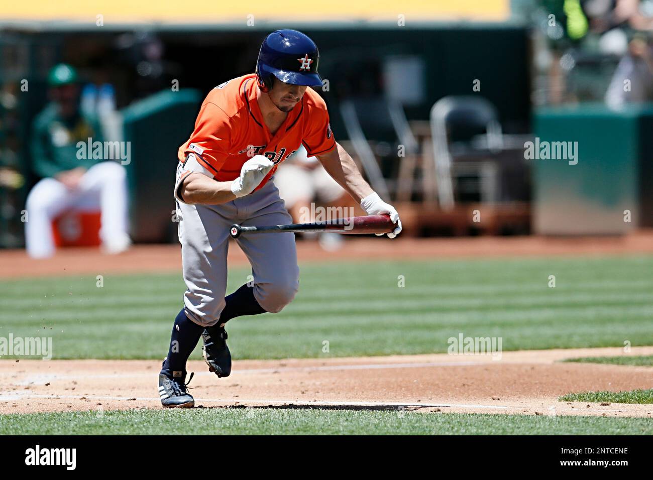 Houston Astros catcher Garrett Stubbs (11) at bat during an MLB game ...