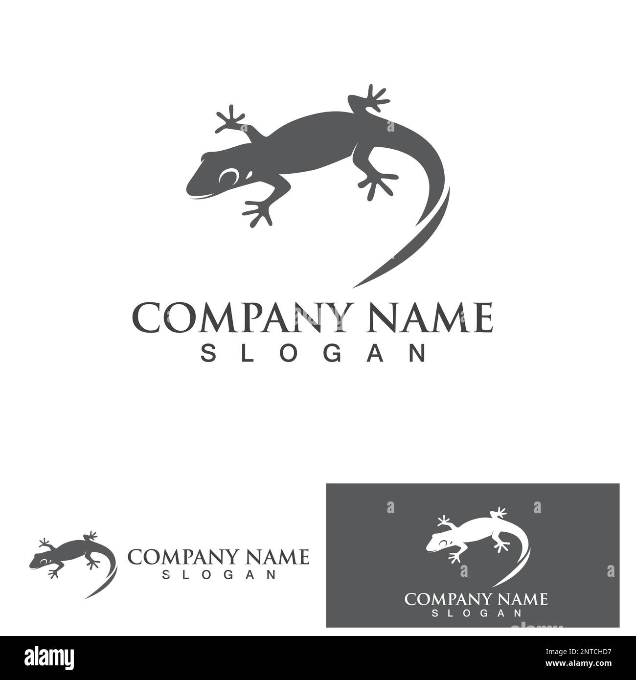 House lizard vector print template Stock Vector Image & Art - Alamy