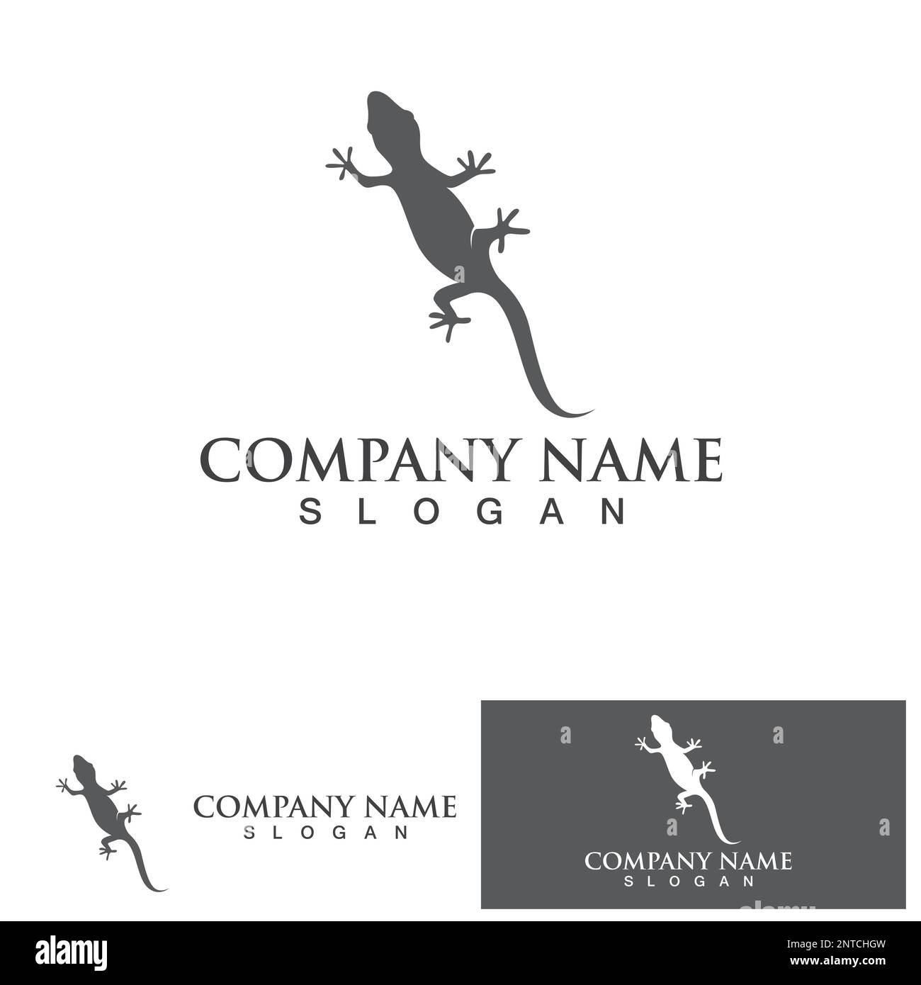 House lizard vector print template Stock Vector Image & Art - Alamy