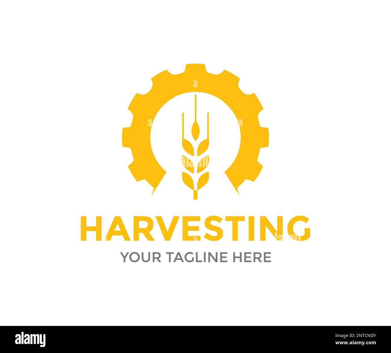 Harvesting cereal crop in Stock Vector Images - Alamy