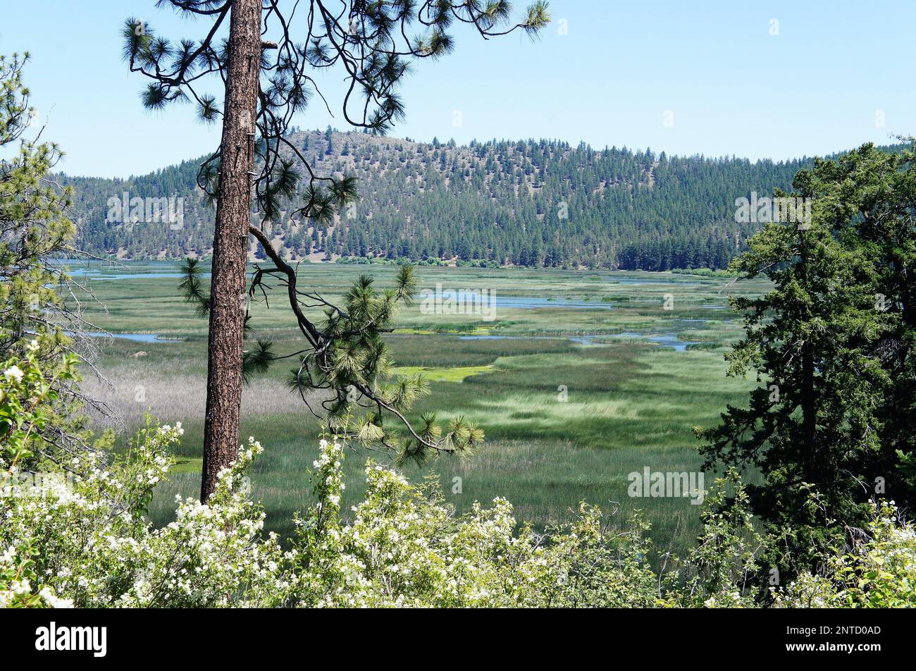 Marshland and vista hi-res stock photography and images - Alamy