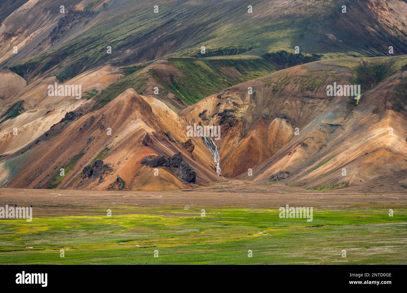 Waterfall between colourful rhyolite mountains, volcanic landscape ...