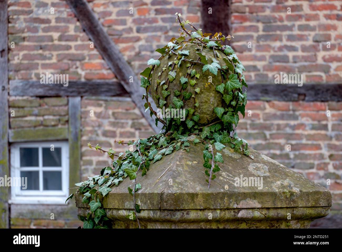 Deserted overgrown house ivy hi-res stock photography and images - Alamy