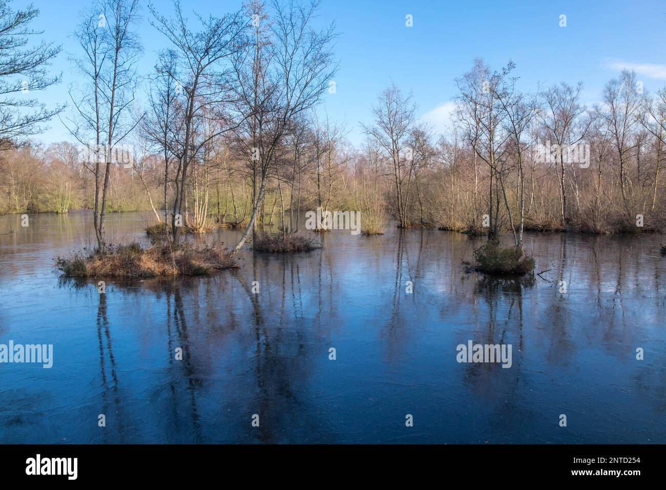 Former clay mining pit, today holiday area, Vreden, Muensterland, North ...