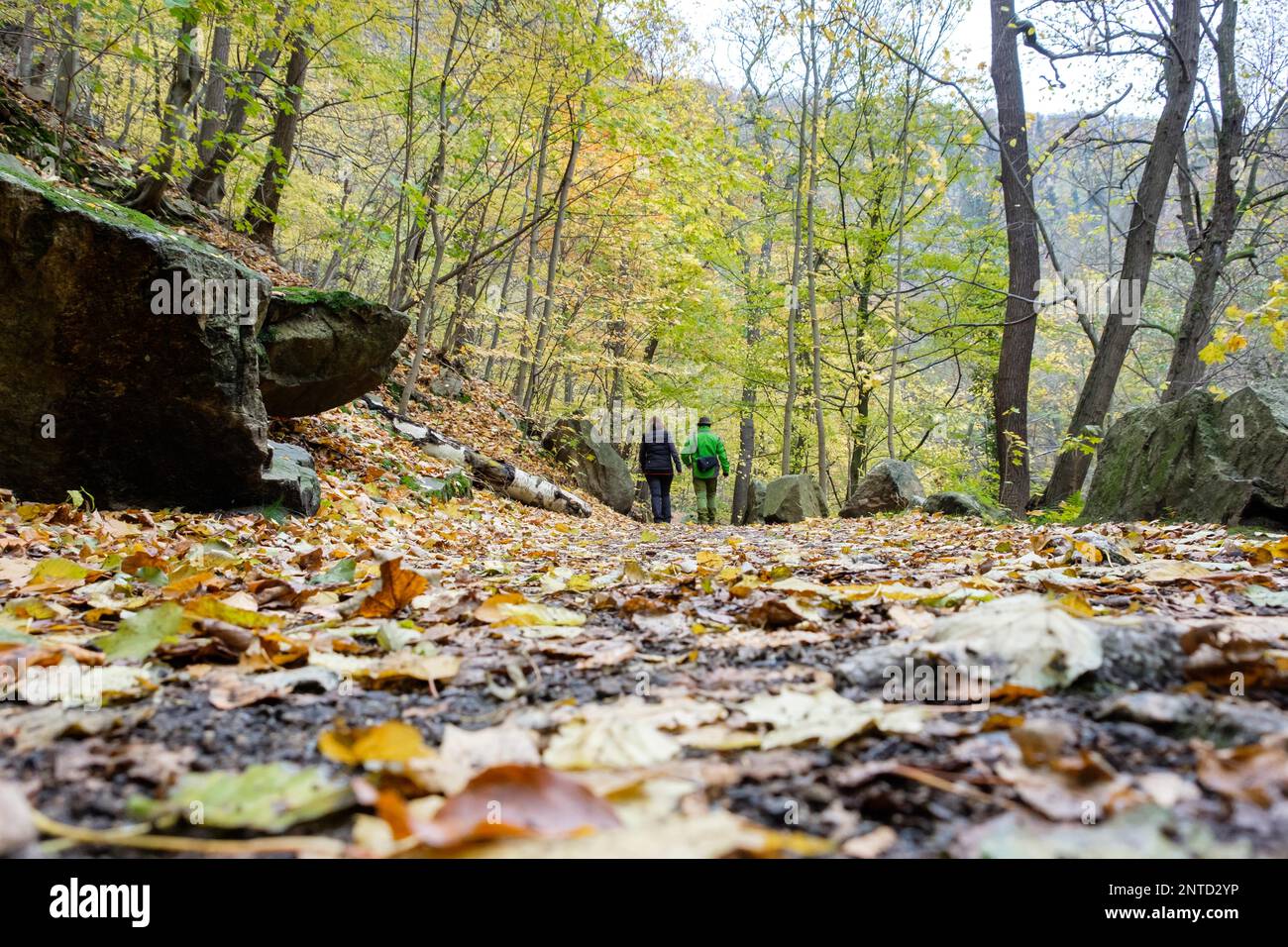 Harzer Hexenstieg Bode Valley Stock Photo - Alamy