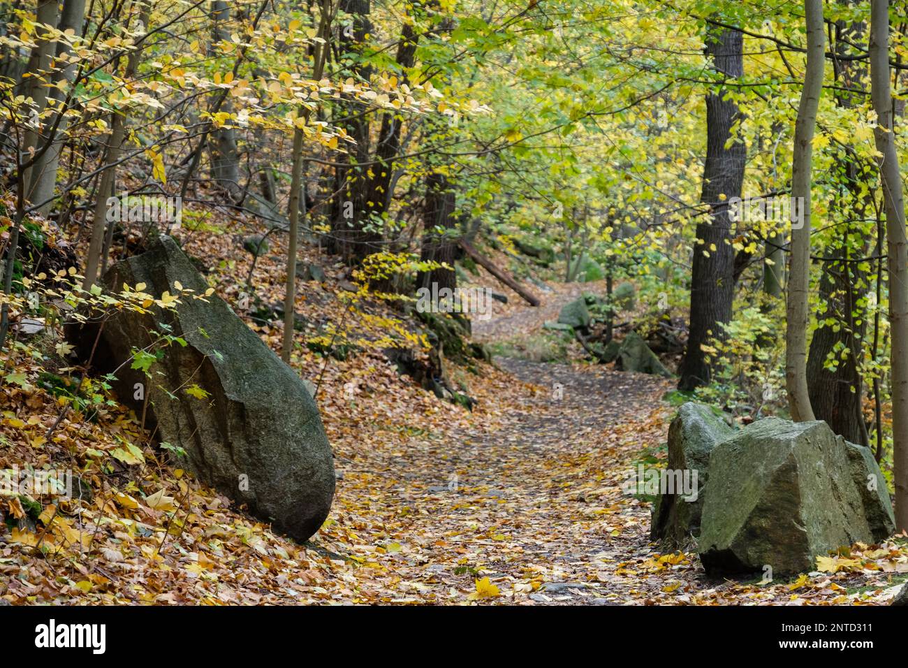 Harzer Hexenstieg Bode Valley Stock Photo - Alamy
