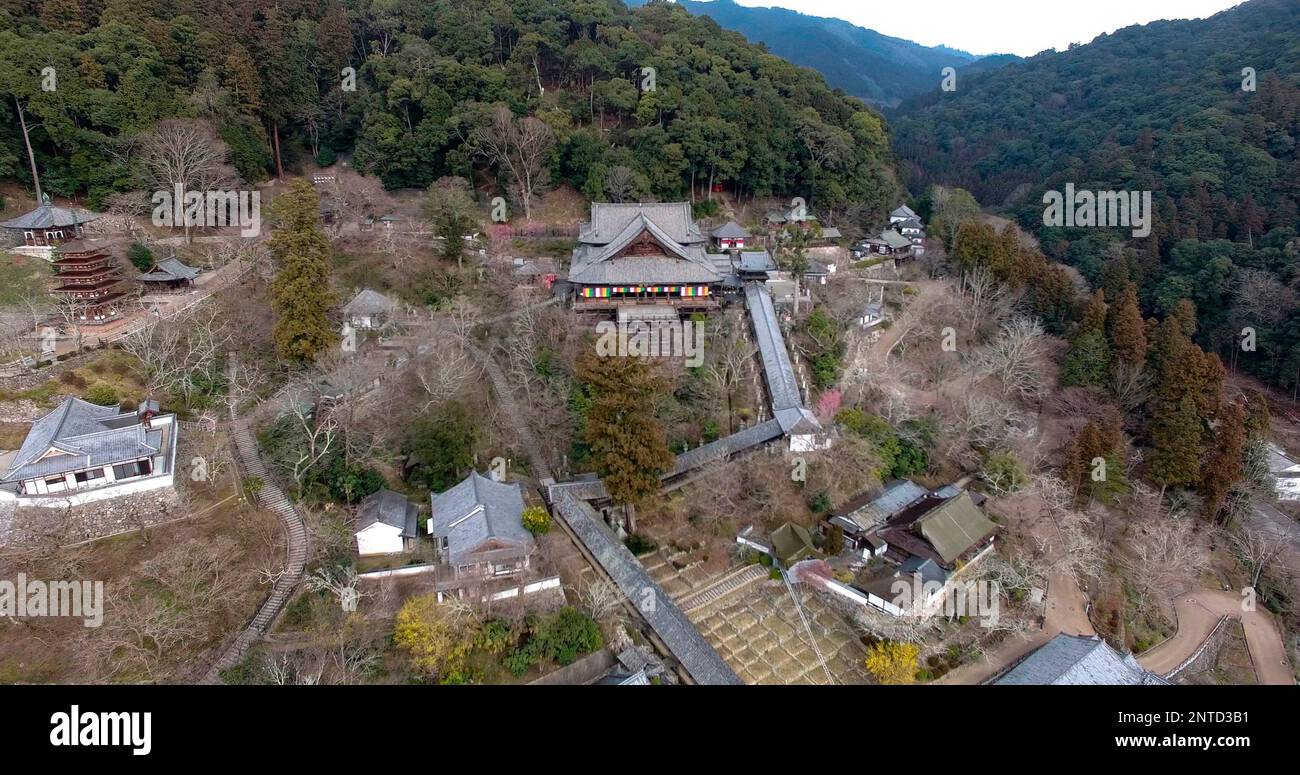 A picture taken on March 20, 2019 shows Hase Dera Temple in Sakurai ...