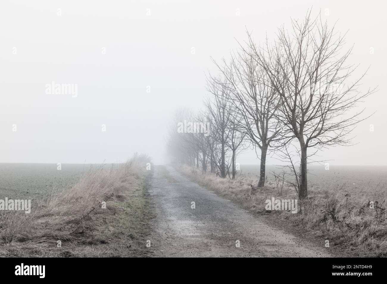 November winter hi-res stock photography and images - Alamy