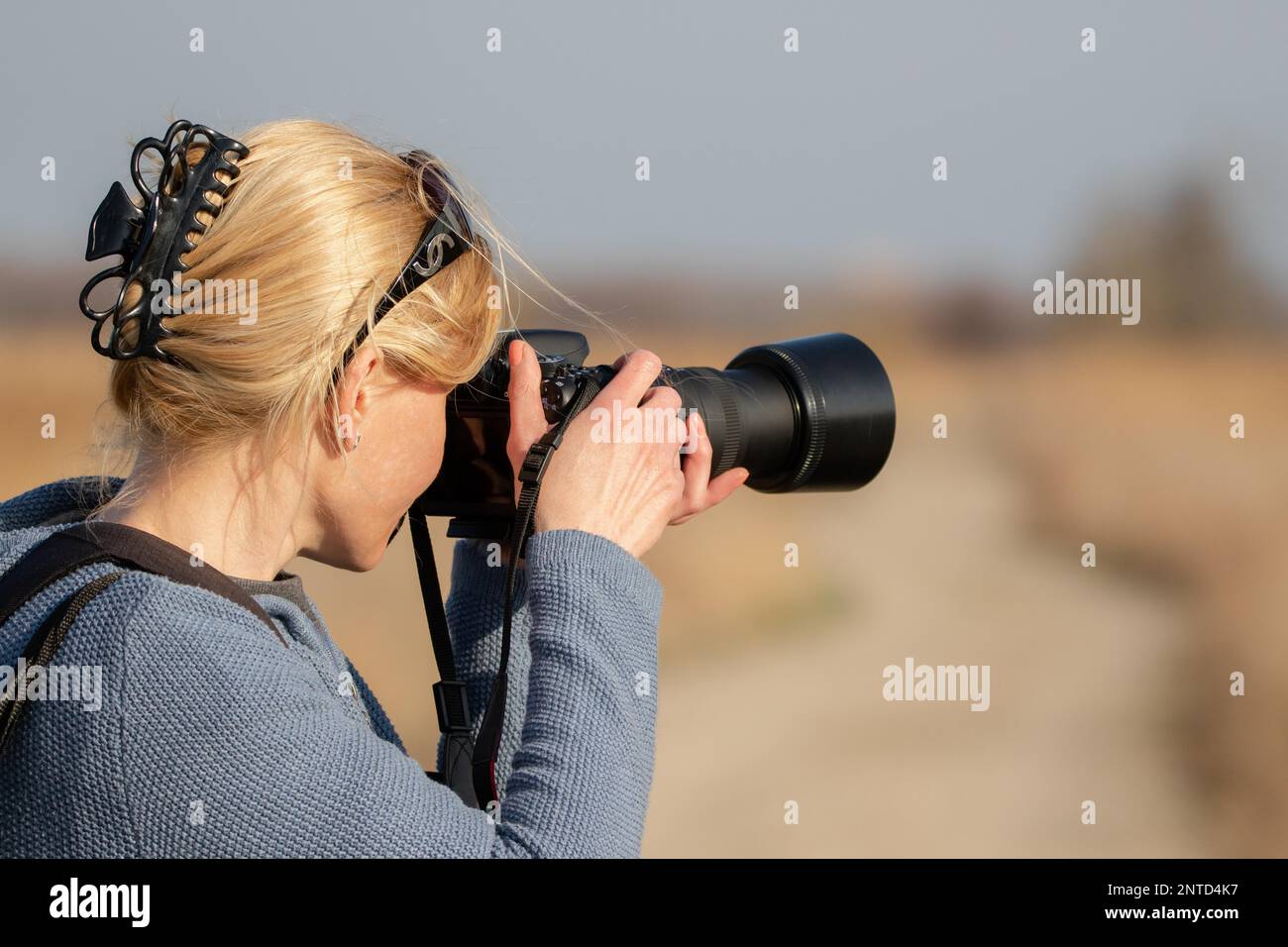 Nature photography photography from the observation stand Stock Photo ...