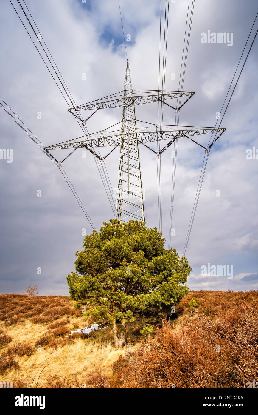 High-voltage pylon Energy transmission route Harz Mountains Stock Photo ...