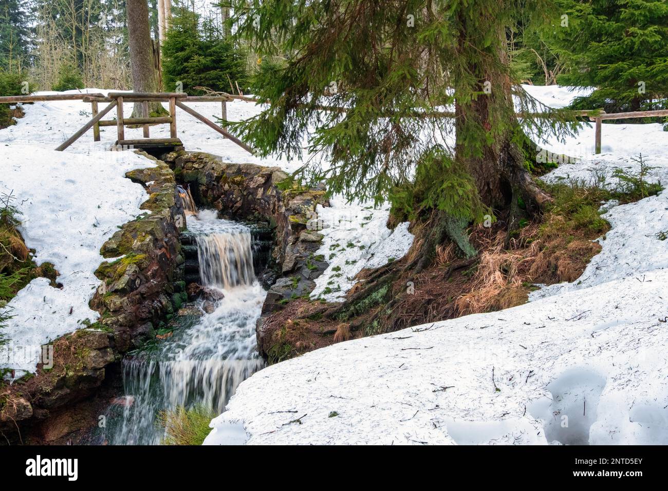 Harz National Park in winter Oderteich ditch system Old mining site ...