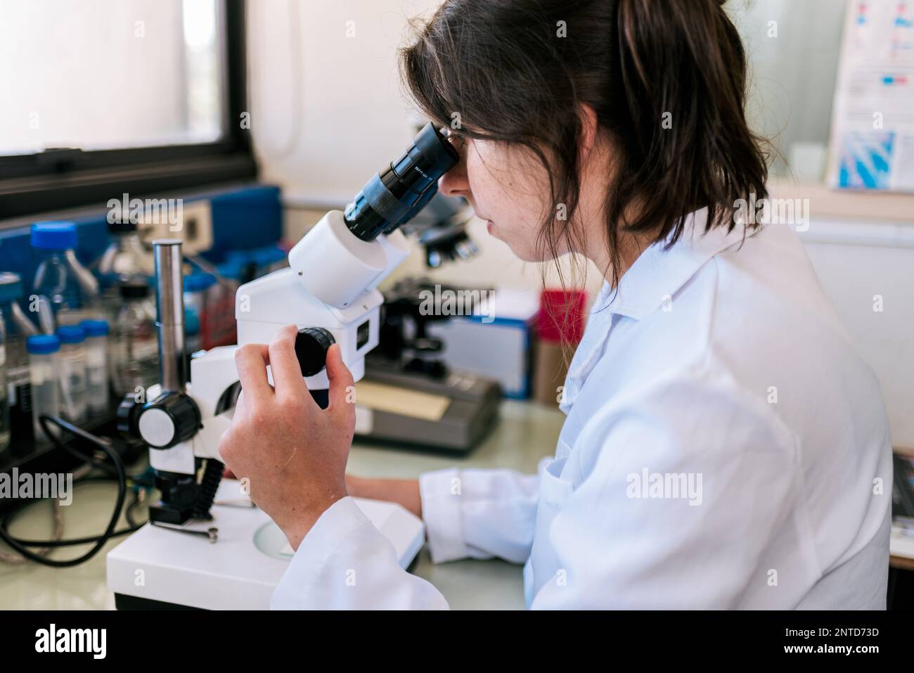 Female Scientist Using Microscopy in Laboratory Stock Photo - Alamy