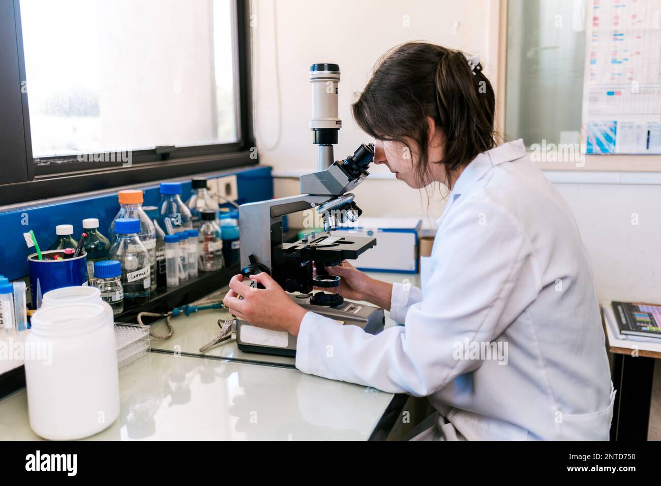 Female Scientist Using Microscopy in Laboratory Stock Photo - Alamy