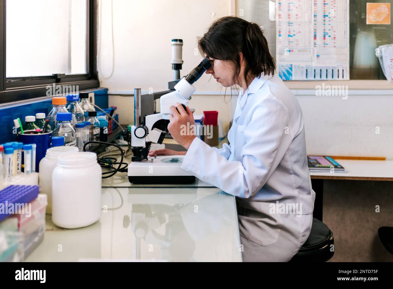 Female Scientist Using Microscopy in Laboratory Stock Photo - Alamy