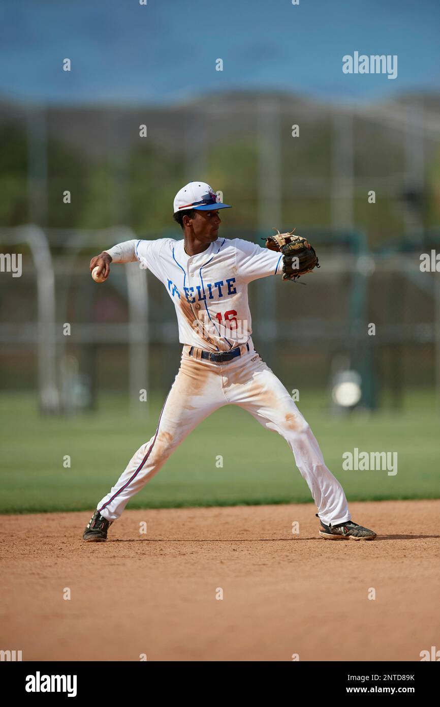 Jose Torres during the WWBA World Championship at the Roger Dean ...