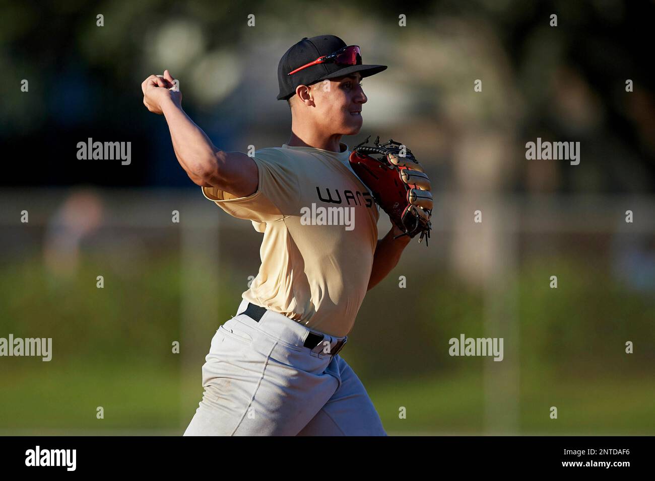 Aaron Perez during the WWBA World Championship at the Roger Dean ...