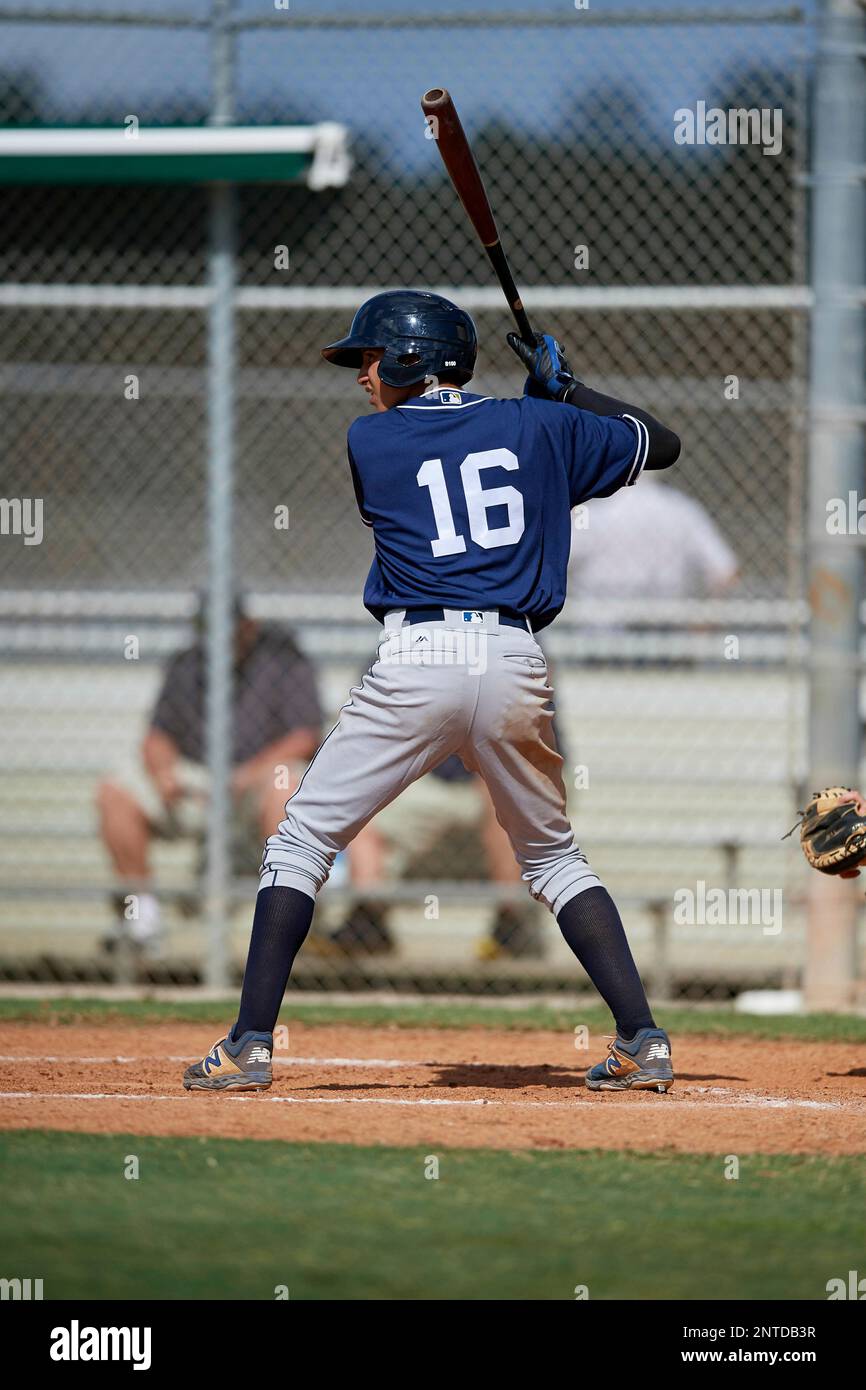 Jose Izarra during the WWBA World Championship at the Roger Dean ...