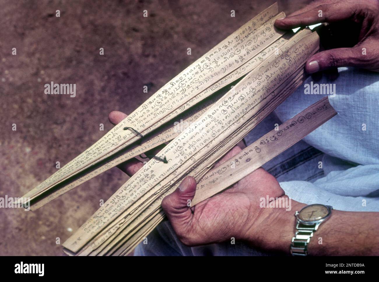 A man reading Palm Leaf Malayalam Manuscript, Kerala, South India ...