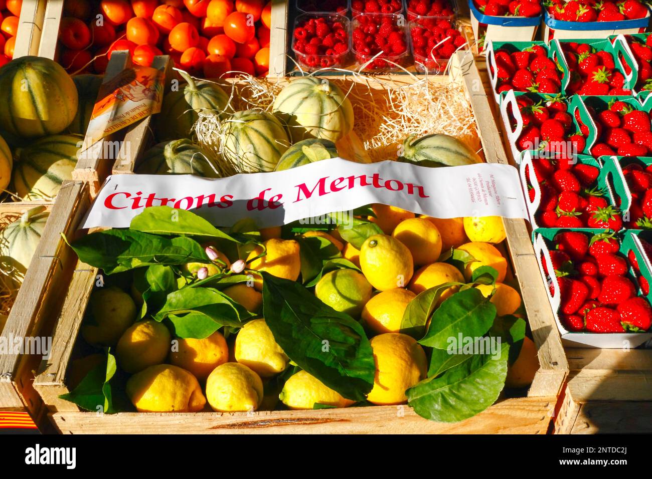 Market, lemons from Menton, Provence, France Stock Photo - Alamy