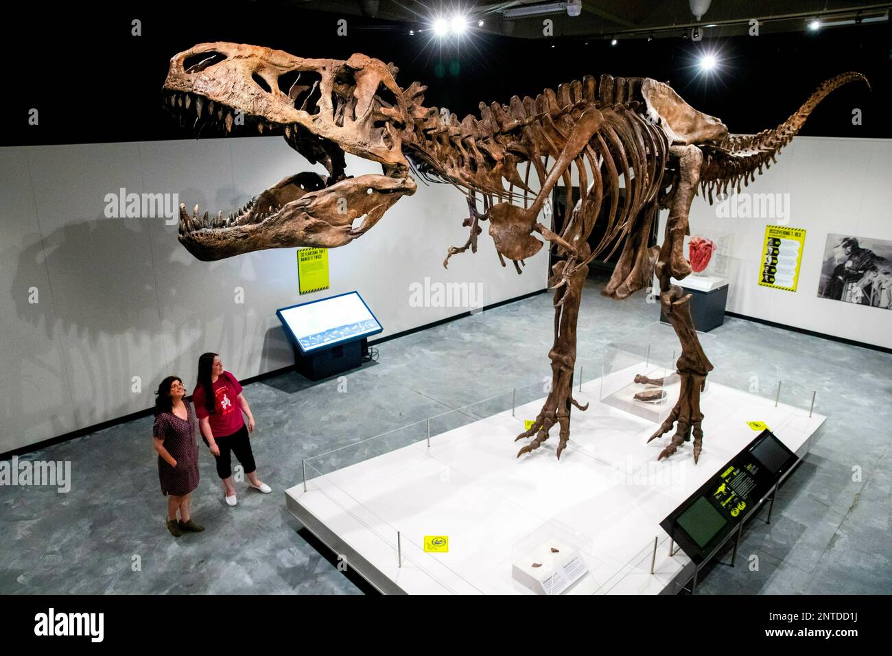 In a Friday, May 31, 2019 photo, Dawn Myron and Jessica Jordano look at ...