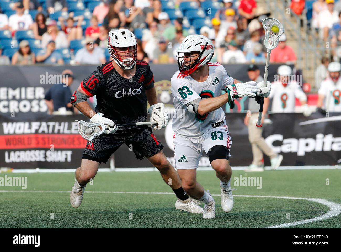 FOXBOROUGH, MA - JUNE 01: Whipsnakes LC midfield Jake Bernhardt (83 ...
