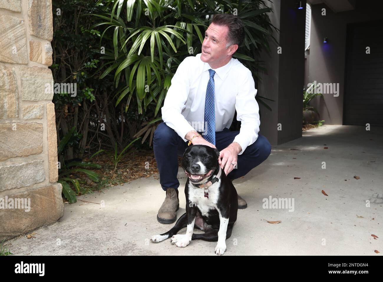NSW Labor Leader Chris Minns meets Mindy the dog during a visit to ...