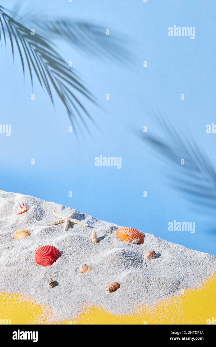 Happy summer vacation in the beach with sand and shells Stock Photo - Alamy