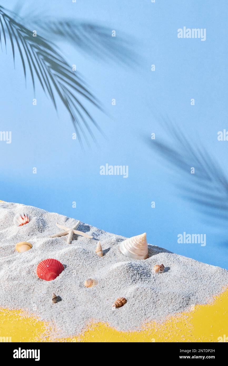 Happy summer vacation in the beach with sand and shells Stock Photo - Alamy