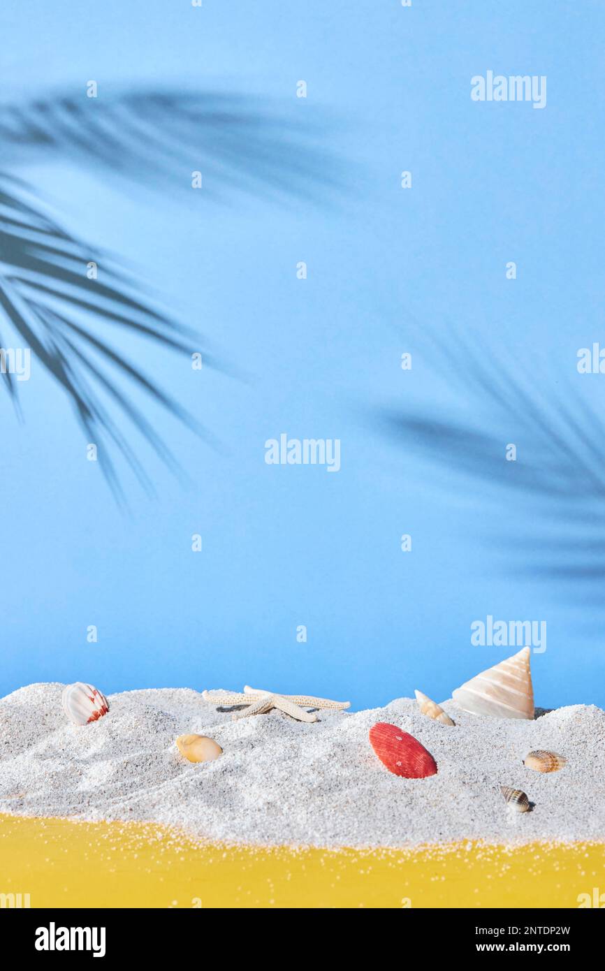 Happy summer vacation in the beach with sand and shells Stock Photo - Alamy