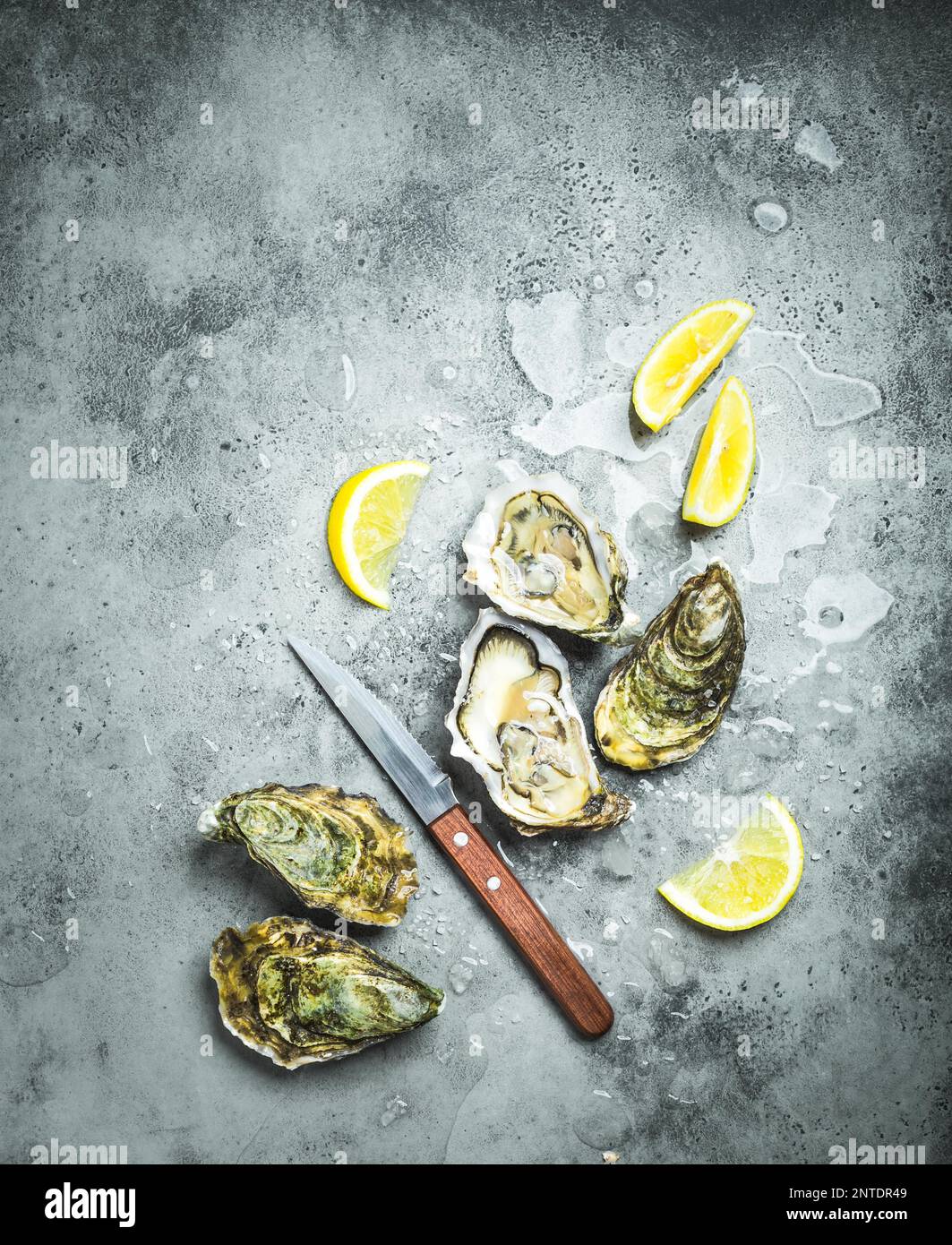Pearl oyster bar hi-res stock photography and images - Alamy