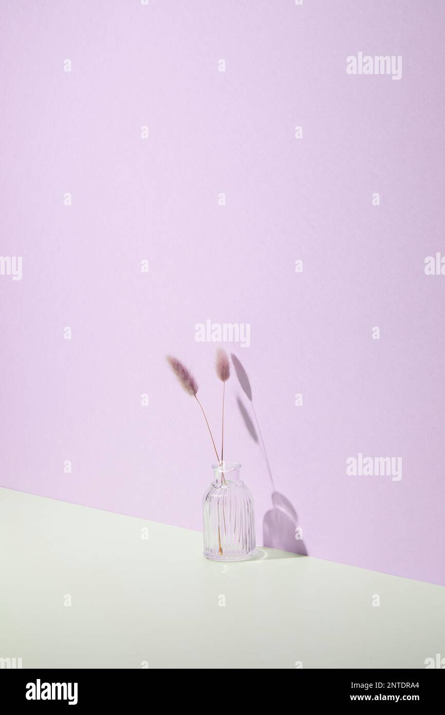 Various objects of pastel background Stock Photo - Alamy