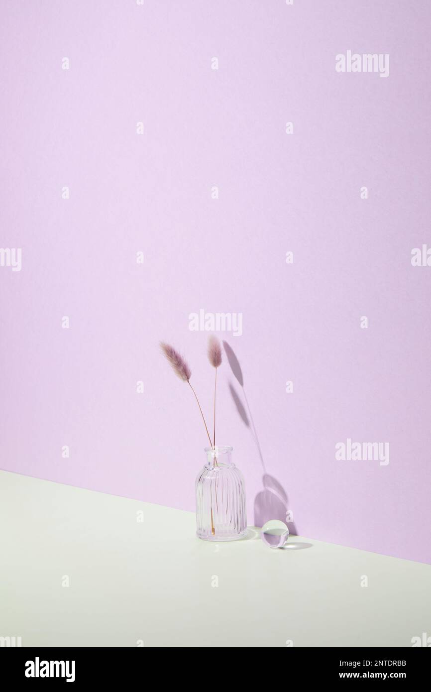 Various objects of pastel background Stock Photo - Alamy