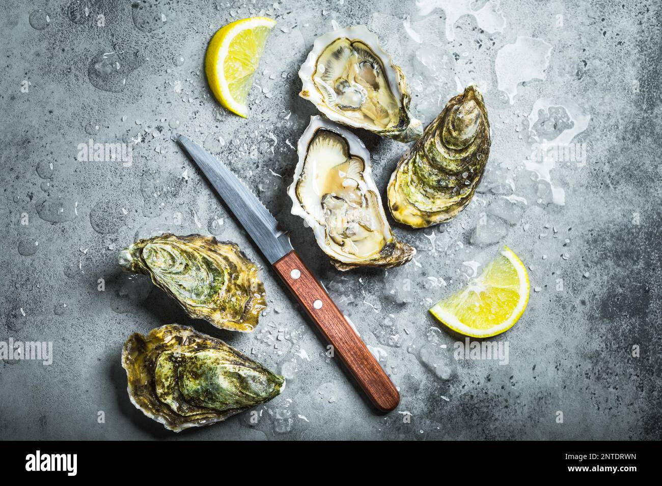 Pearl oyster bar hi-res stock photography and images - Alamy
