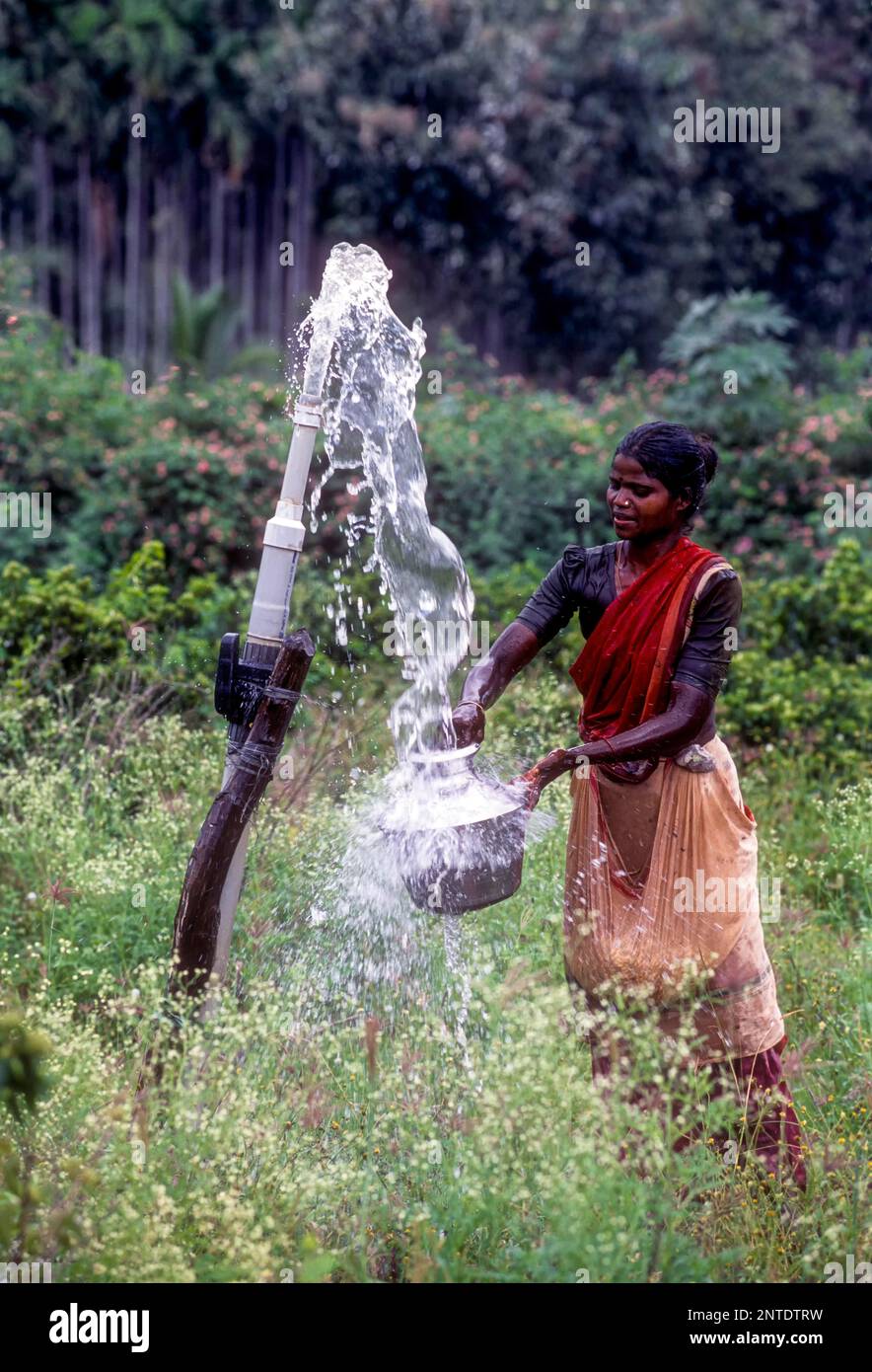 A woman collecting water directly from bore well in Anaikatty, Tamil ...